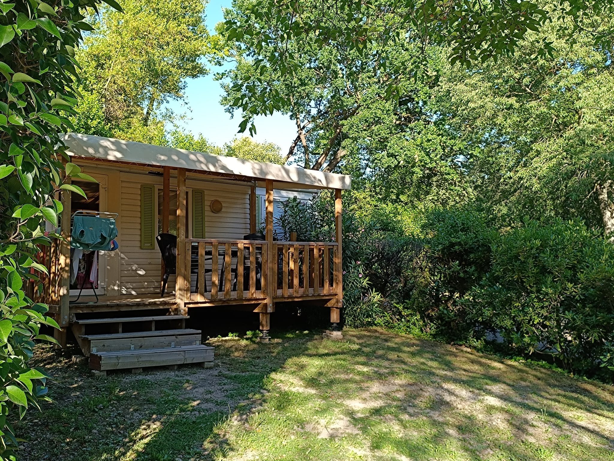 Accueil - Camping Saint Rémy de Provence Le Mas de Nicolas